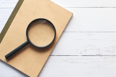 Car Reg Check | RevsCheck