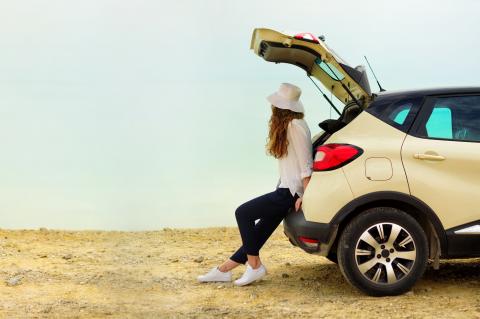 Rego Check | RevsCheck